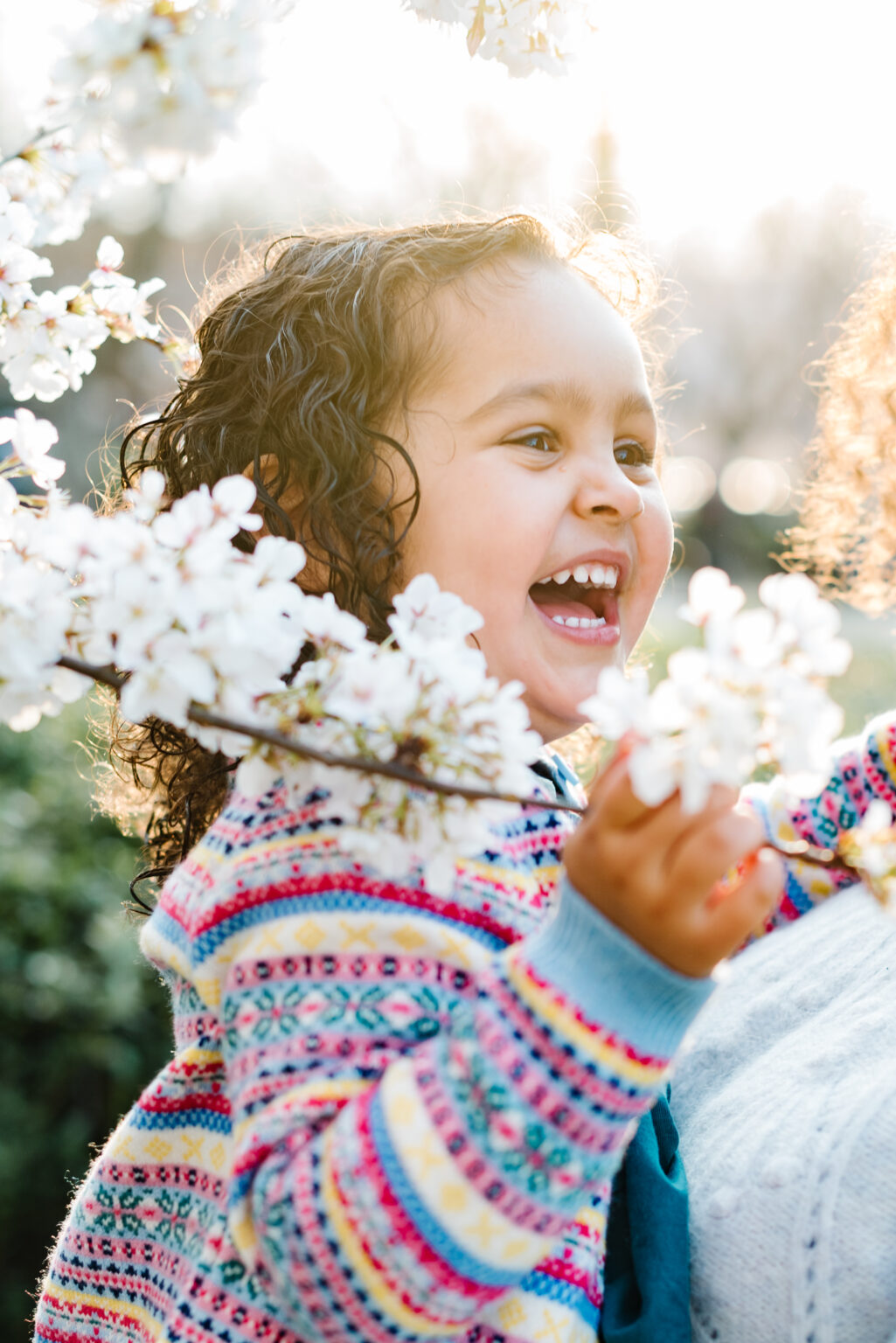 6 Essential Tips for Seeing DC’s Cherry Blossoms | Washington, DC Family Photographer ...